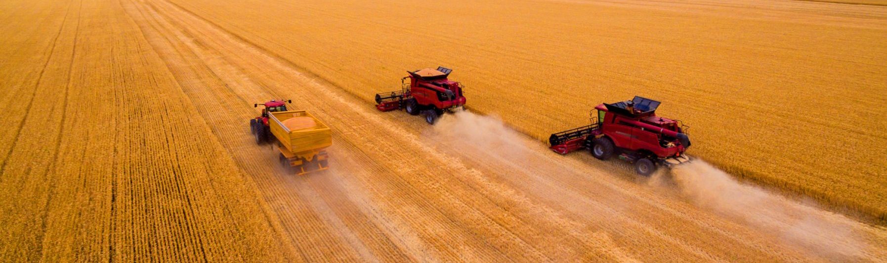 Broadacre Recruitment & Broadacre Farming Jobs | Agri Talent Australia