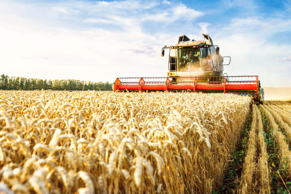 Broadacre Recruitment & Broadacre Farming Jobs | Agri Talent Australia