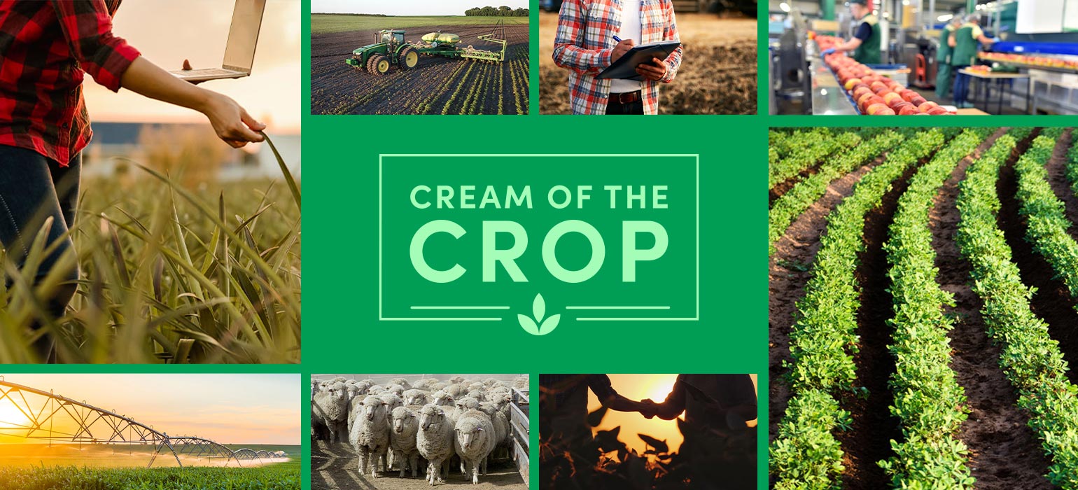 2022 September Cream of the Crop: serving up this month’s top talent