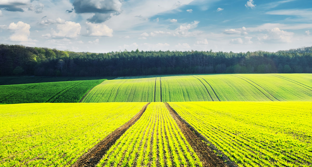 Australia’s Migration System Reforms - Agri Talent