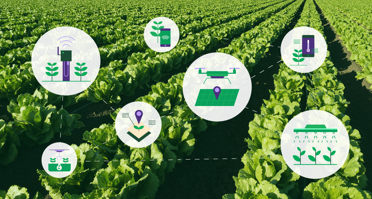 The Future of Agri Tech. Skills Needed for Tomorrow's Agriculture Industry