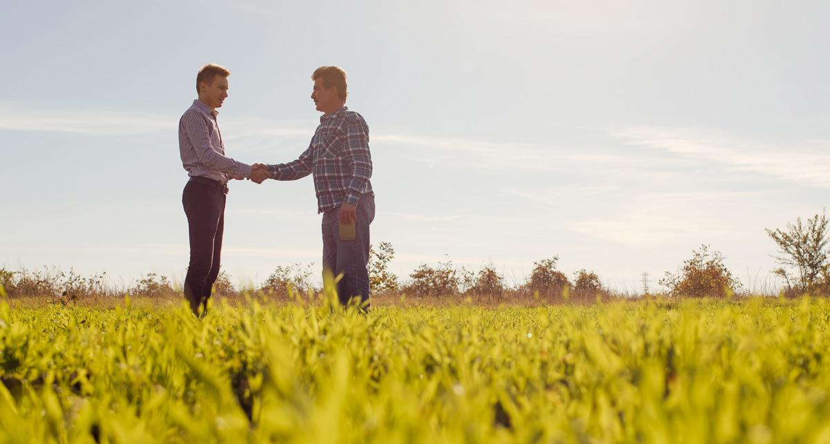 Executive Recruitment Specialists for Agribusiness: Agri Talent Australia