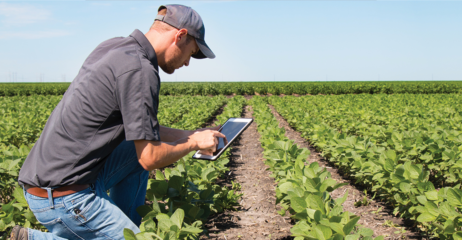 Steps to kickstart your career in agriculture - Agri Talent